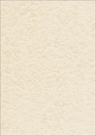 Templates, Cards, Paper & Acetate Sheets | SIGEL