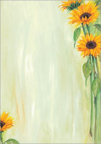 Templates, Cards, Paper & Acetate Sheets | SIGEL